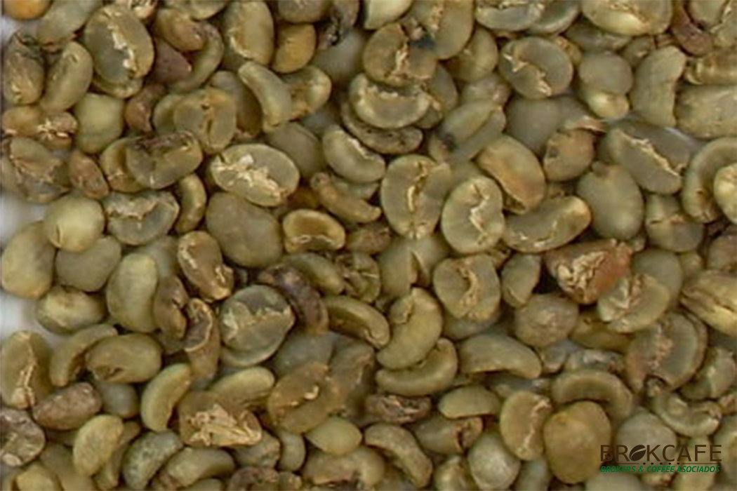 Café Inferiores